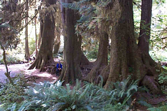 Bob n Patty's Travels - Washington State