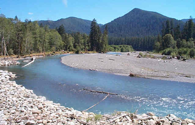 Bob n Patty's Travels - Washington State