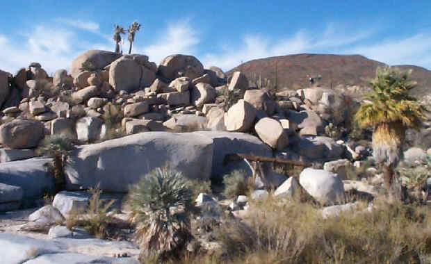 Baja 2001 - Bob 'n Patty